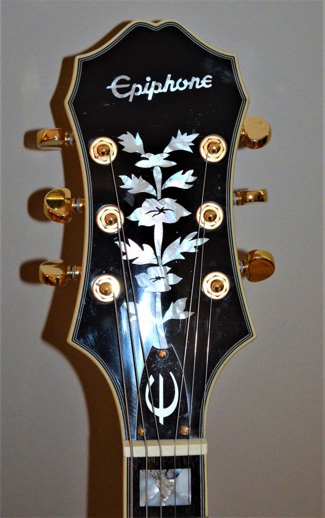 Epiphone Sheriton - Natural -Headstock.jpg - Member Albums - Guitar ...